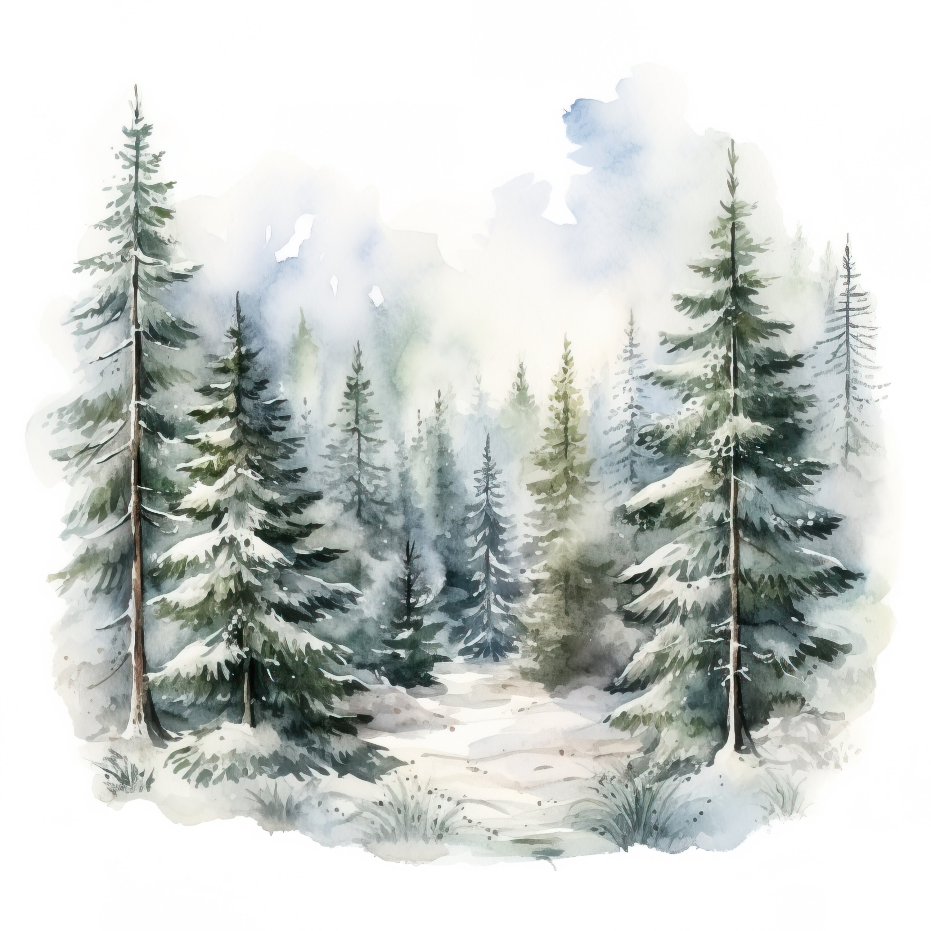 Watercolor Winter Snow Pine Trees 10 High-quality Jpgs Clipart ...