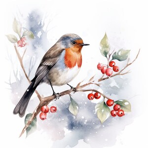 Watercolor Birds in Snow - 10 High-quality JPG Clipart Images , Winter ...
