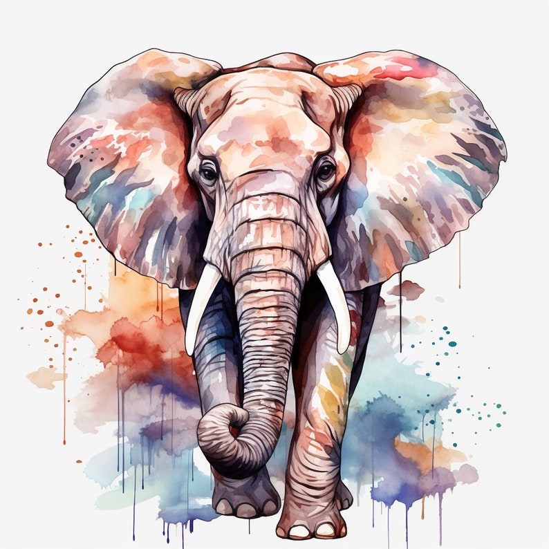 Watercolor Elephant Clipart 10 Jpgs, High Quality, Digital Planner ...