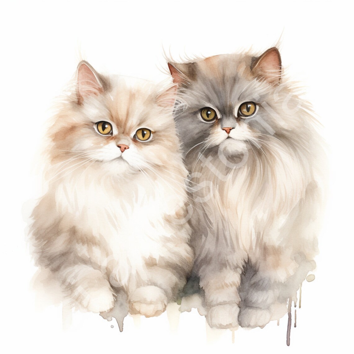 Kitten Cats 10 Jpgs Clipart, High Quality, Digital Planner, Paper ...