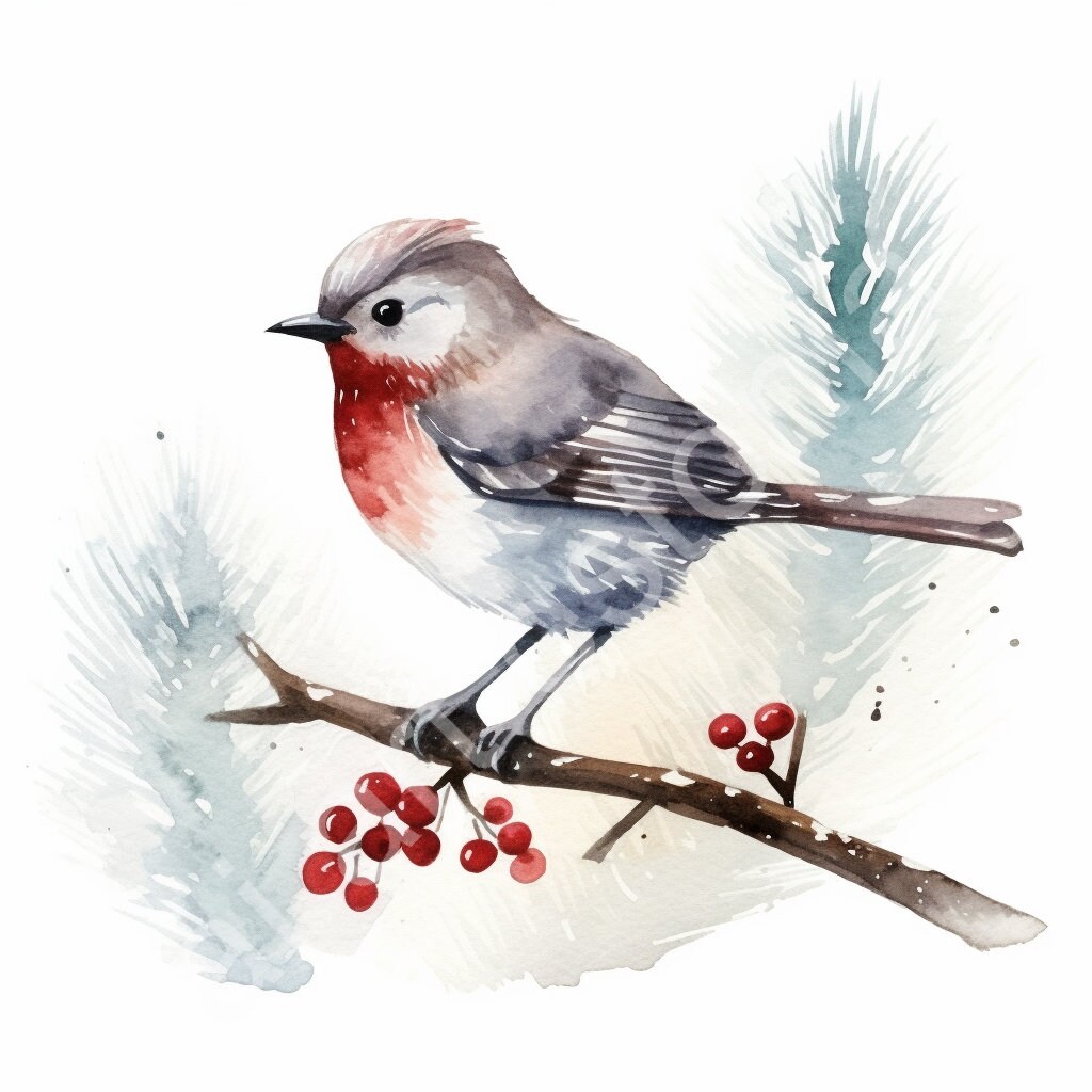 Watercolor Birds in Snow 10 High-quality JPG Clipart Images , Winter ...