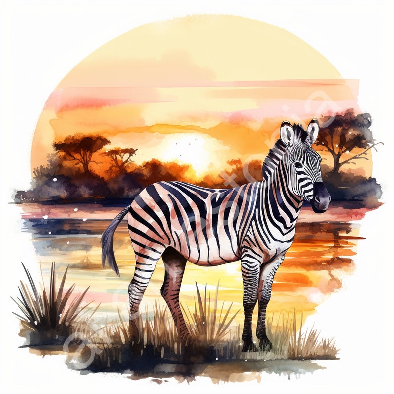 Watercolor Zebra 10 Jpgs Clipart, High Quality, Digital Planner, Paper ...