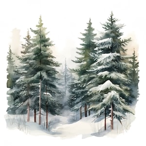 Watercolor Winter Snow Pine Trees 10 High-quality Jpgs Clipart ...