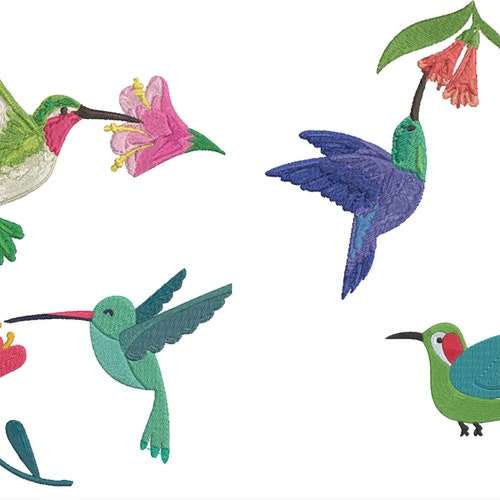 Watercolor Hummingbird Machine Embroidery Design 4 Sizes - Etsy