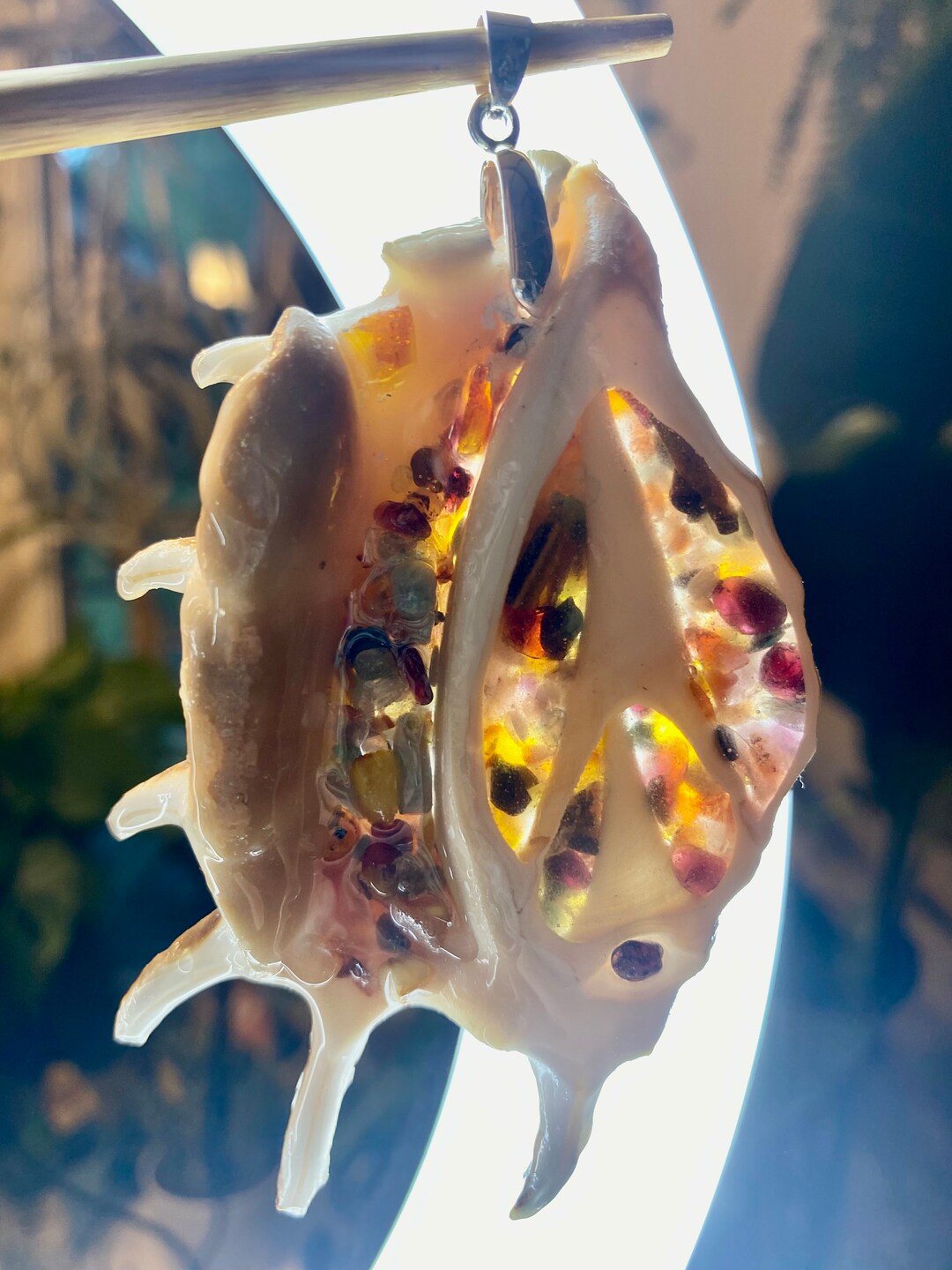 Sliced Seashell With a Rainbow of Assorted Gems and a Blue Bioluminescent Glow - Etsy