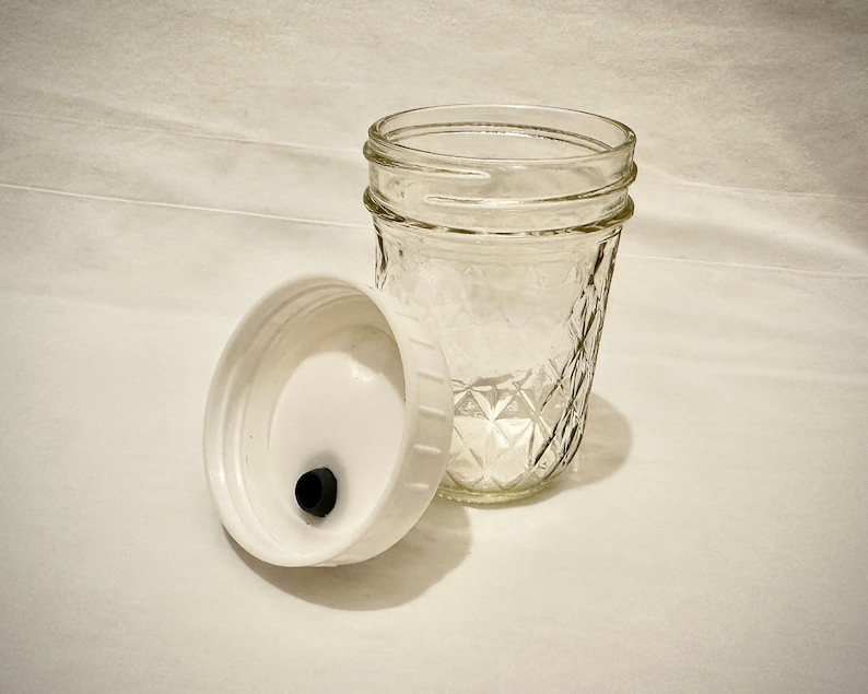 Mycology Jars for Liquid Culture/grain Spawn 6 Pack - Etsy