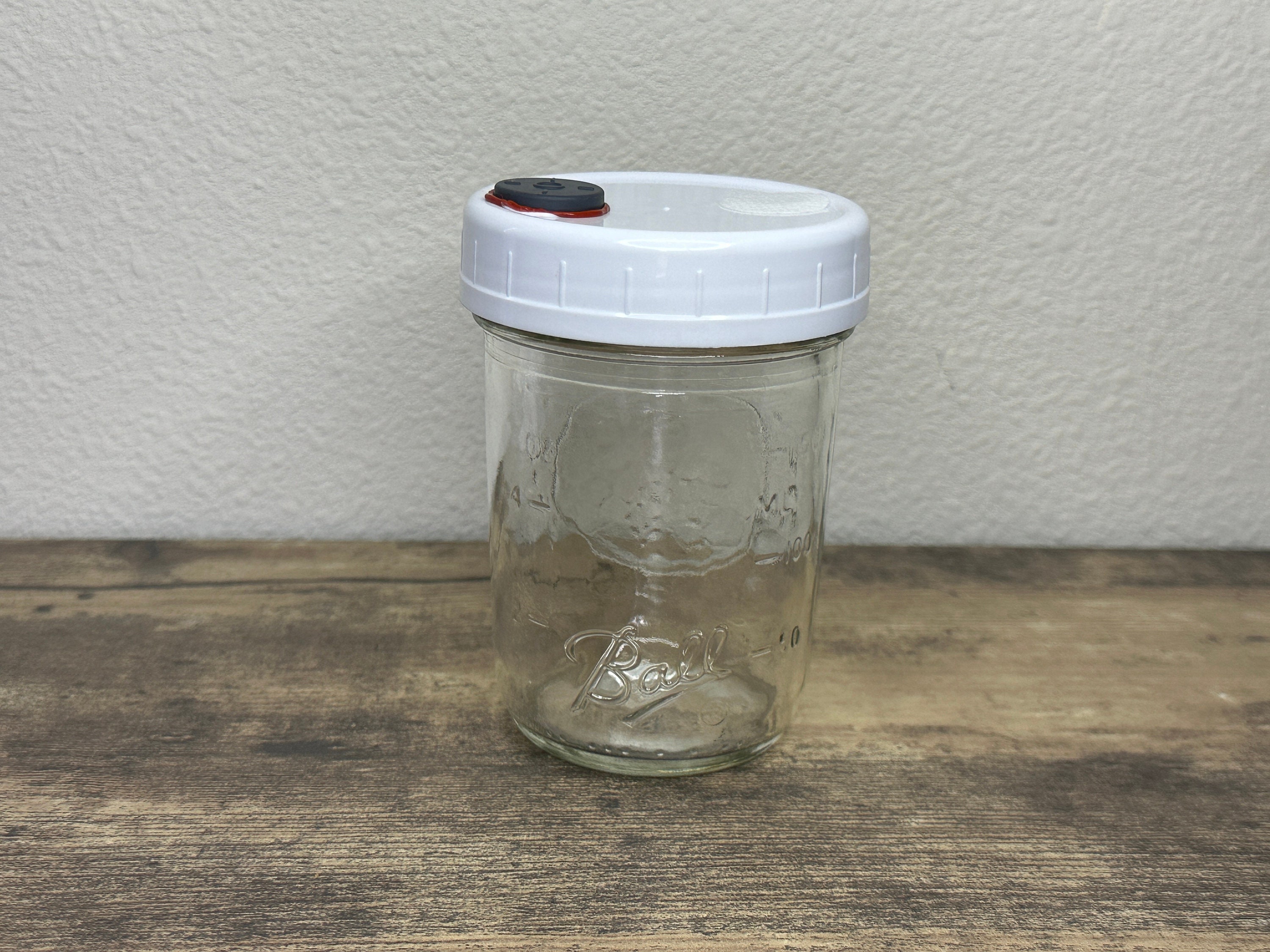 Mycology Jars for Liquid Culture/grain Spawn (6 Pack) - Etsy