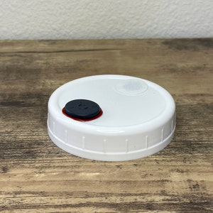 Mycology Jars for Liquid Culture/grain Spawn (6 Pack) - Etsy