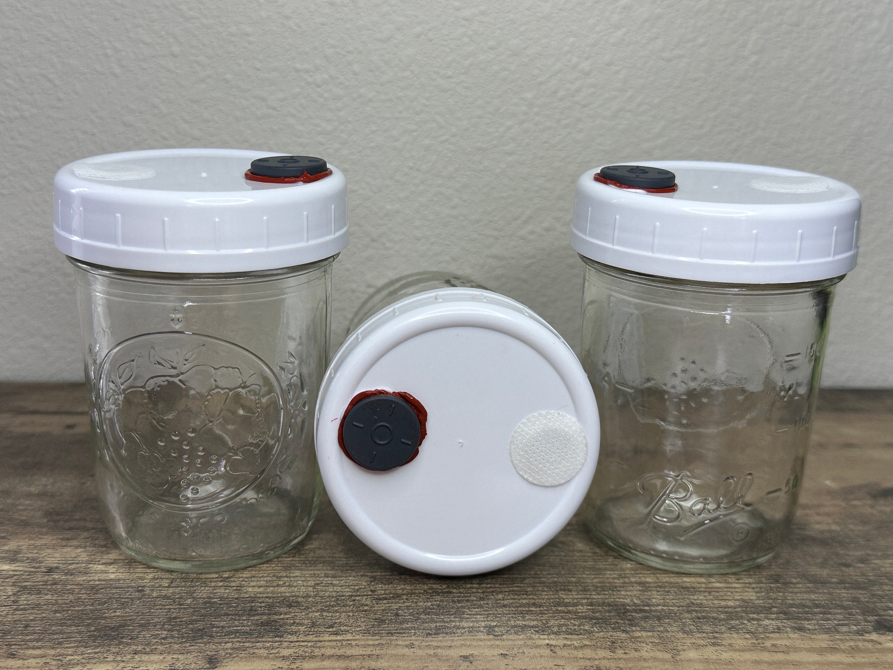 Mycology Jars for Liquid Culture/grain Spawn (6 Pack) - Etsy