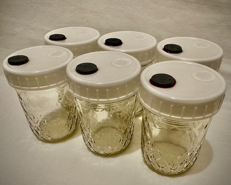 Mycology Jars for Liquid Culture/grain Spawn 6 Pack - Etsy