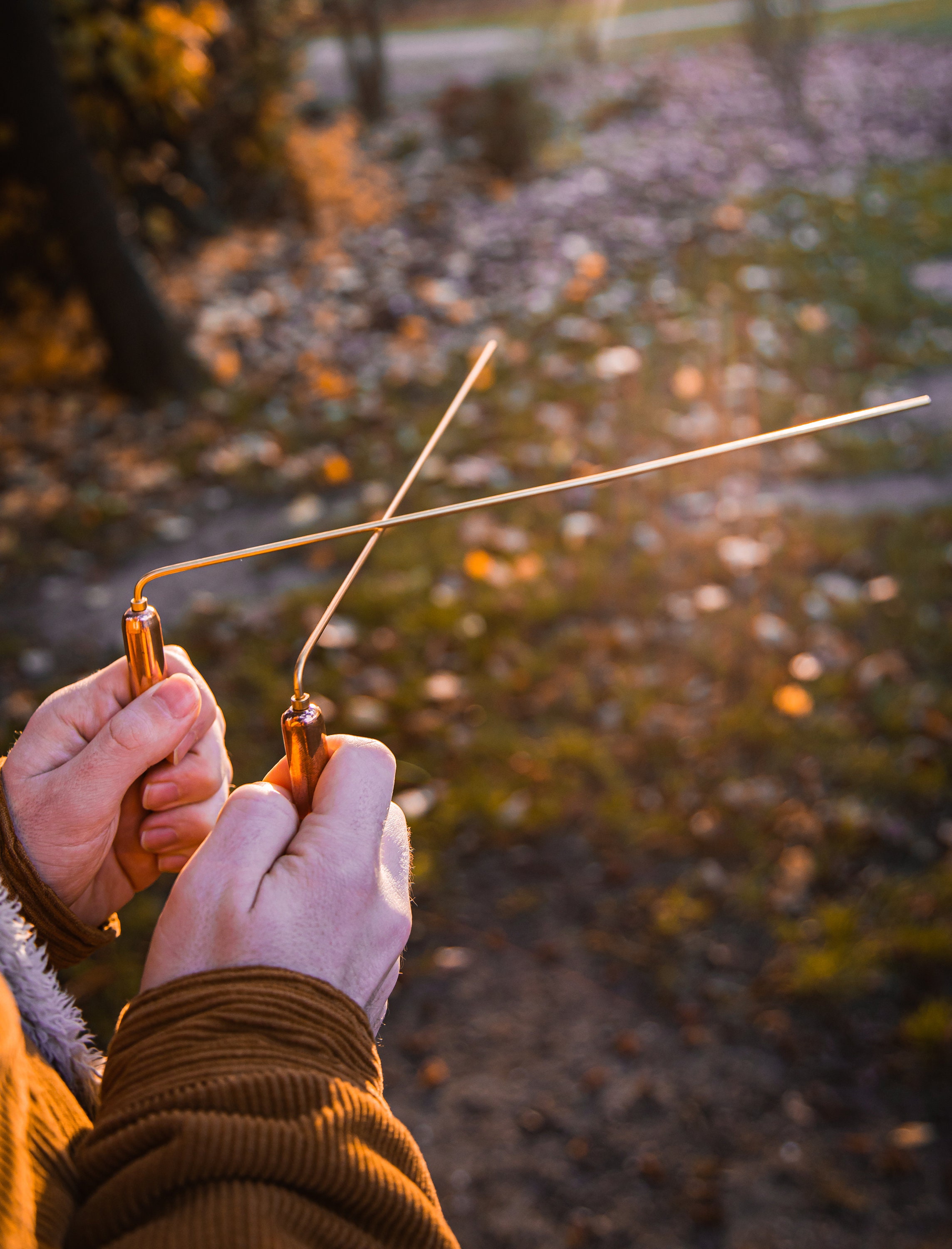 Dowsing Rod Reading - Etsy