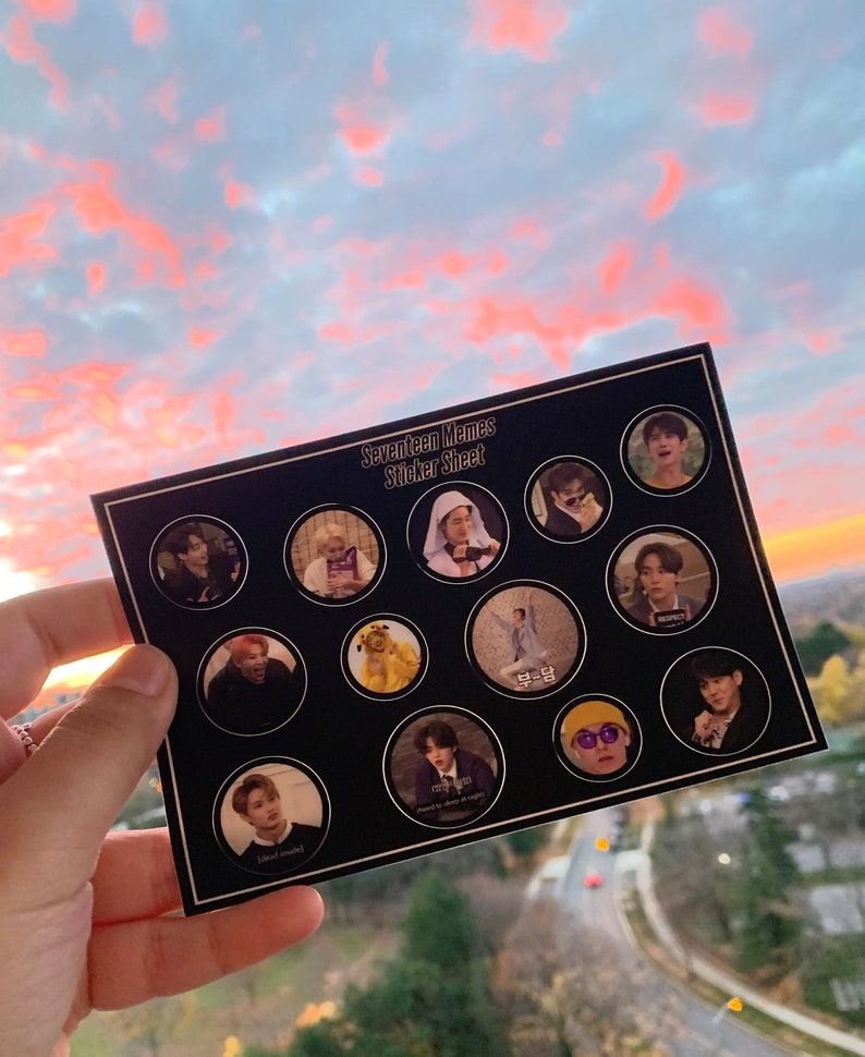 Seventeen Memes Sticker Sheet Jeonghan Hoshi Wonwoo DK - Etsy
