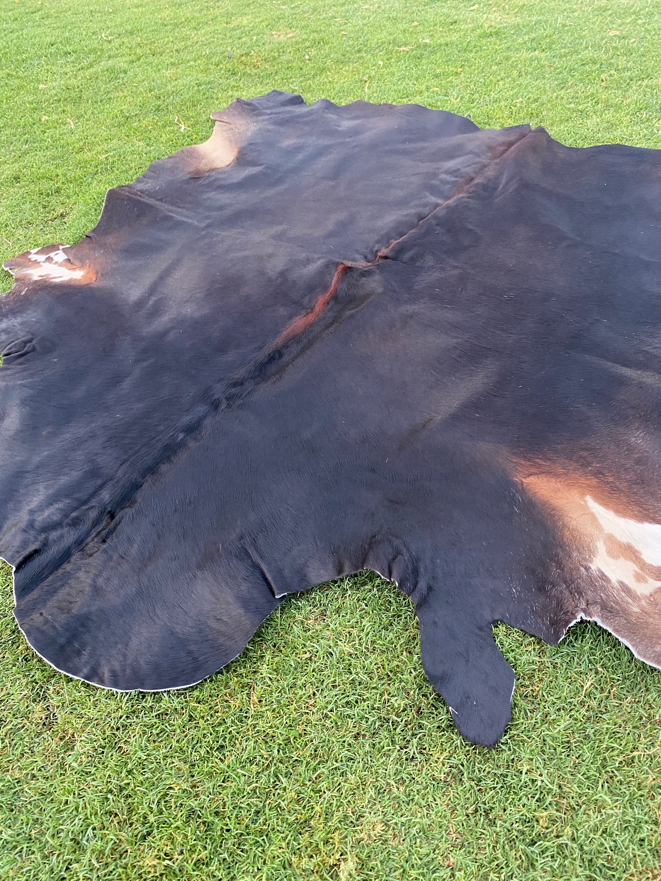 Black Cowhide Rug Large and Small Black Cow Hide Rug Black - Etsy