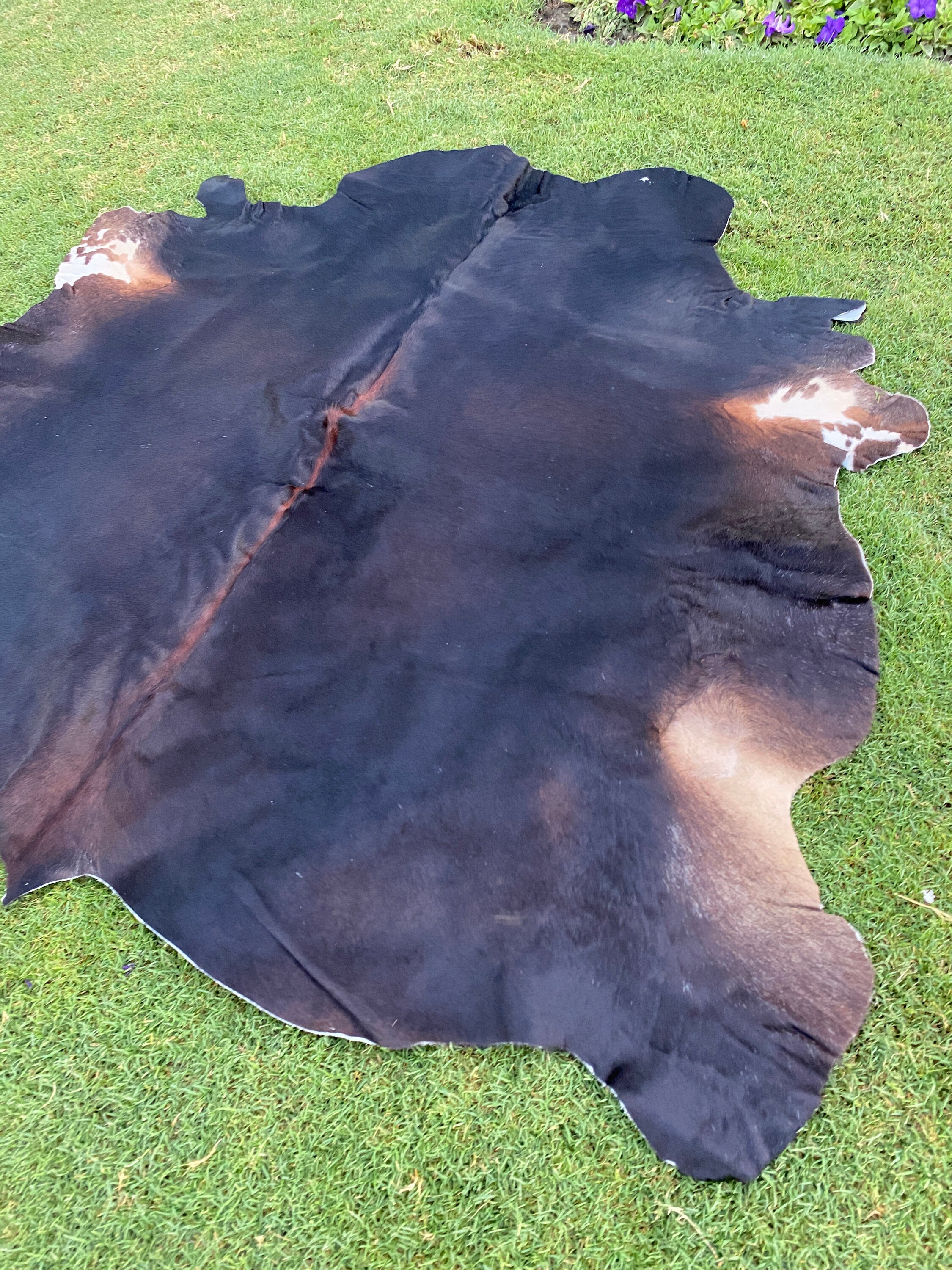 Black Cowhide Rug Large and Small Black Cow Hide Rug Black - Etsy