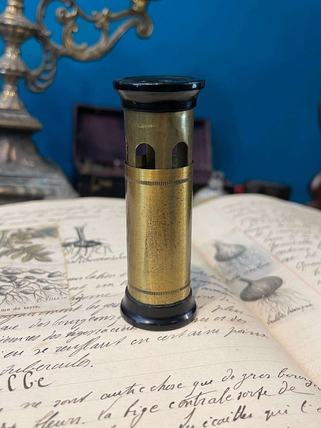 Rare German Universal Pocket Microscope in Brass and Wood, 19th Century ...