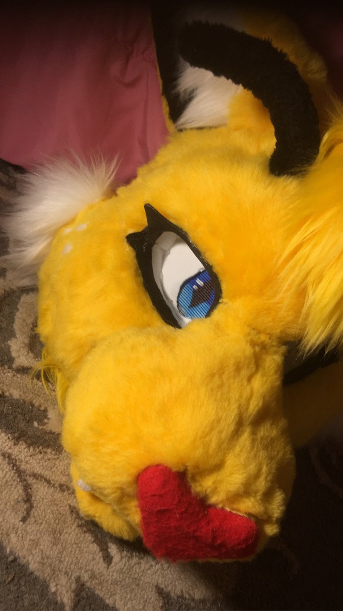 Cat Bee Fursuit Read Description - Etsy Australia