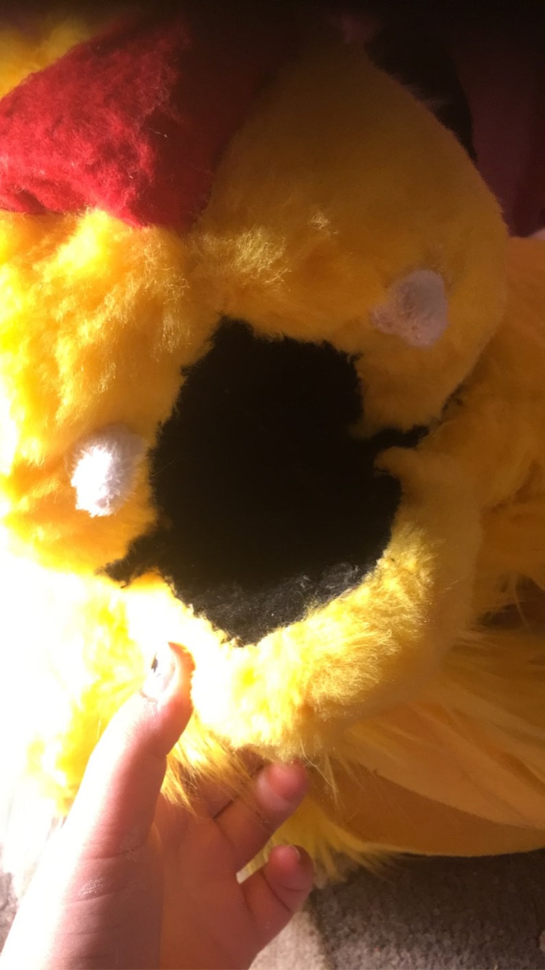 Cat Bee Fursuit Read Description - Etsy Canada