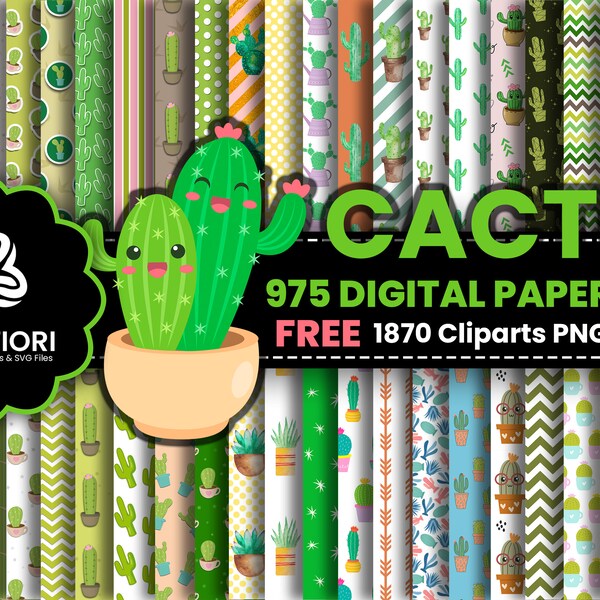 Succulent Designs - Etsy