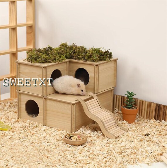 Diy Hamster Hideout