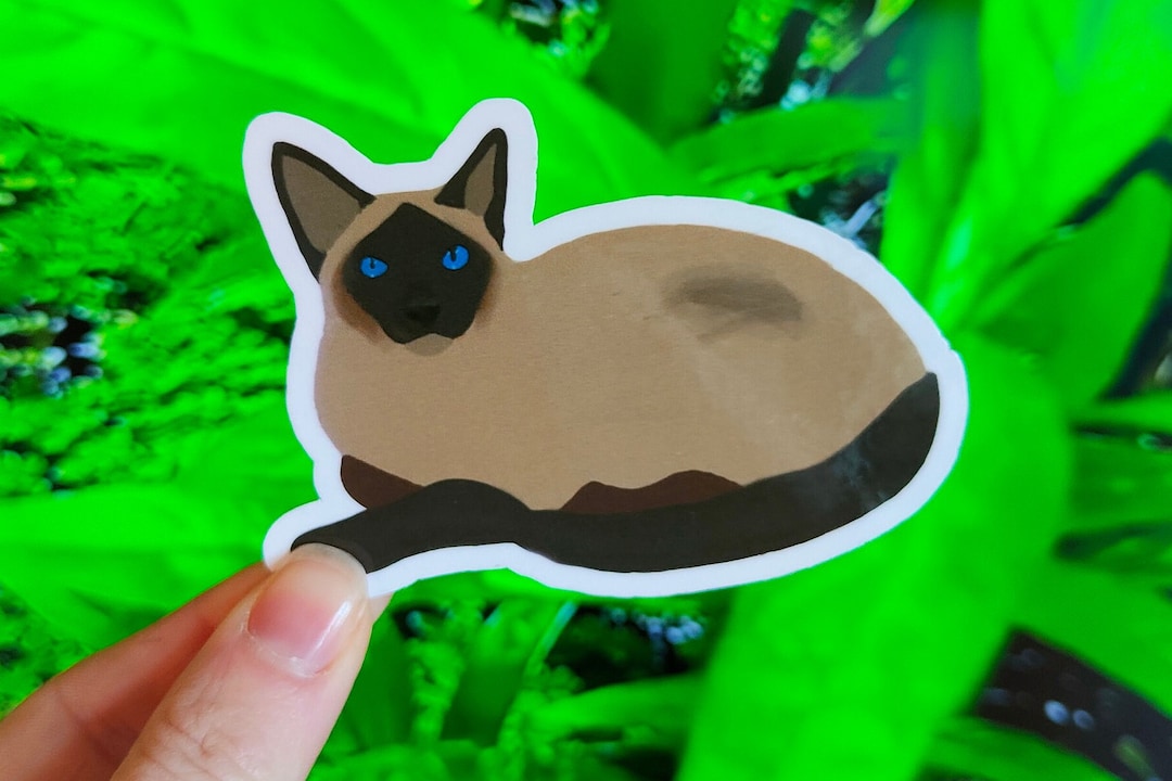 Siamese Cat Vinyl Sticker - Etsy