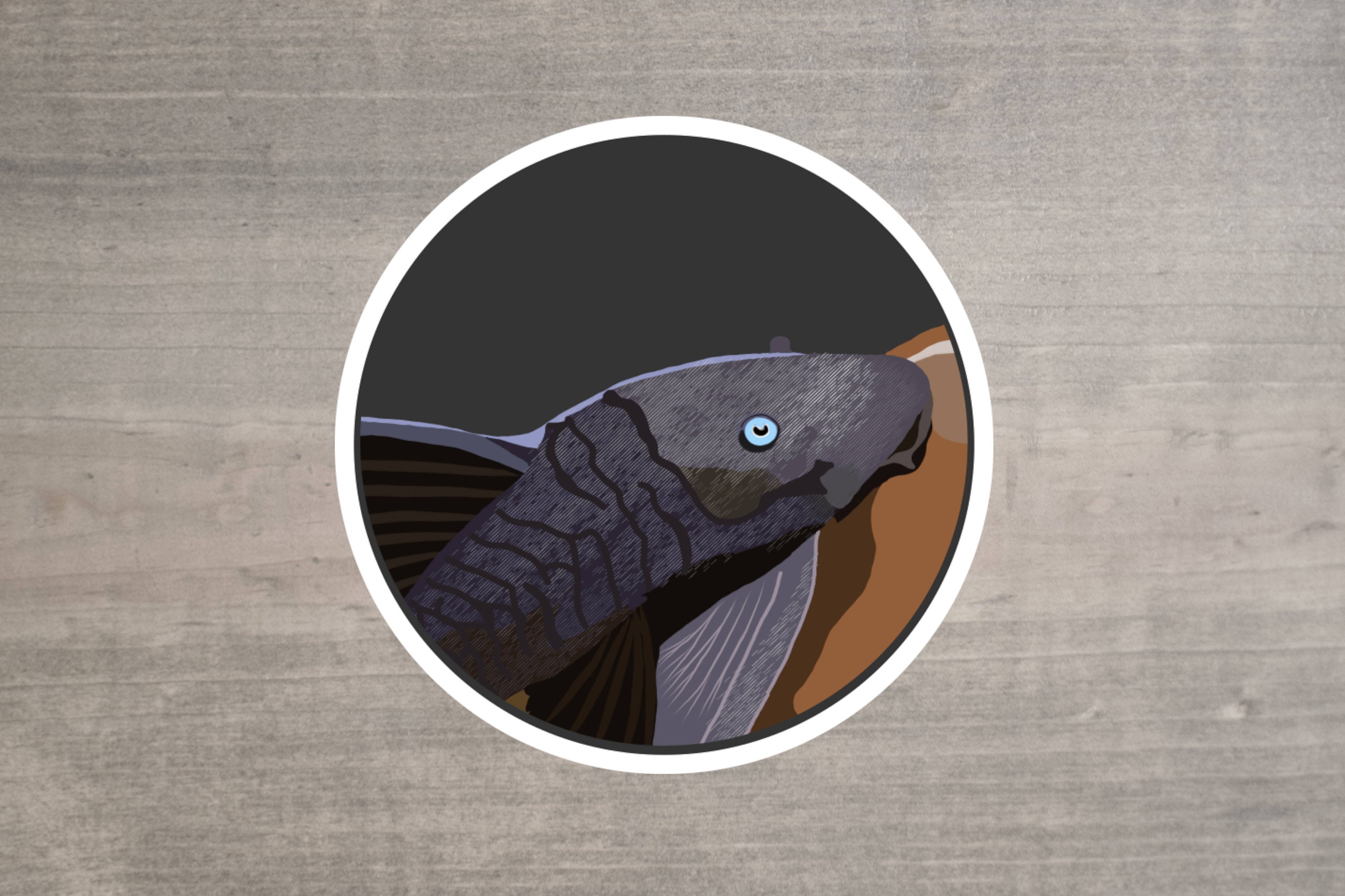 Blue Eyed Panaque Pleco Vinyl Sticker - Etsy