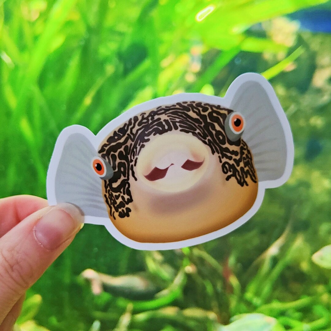 Mbu Pufferfish Sticker | Hand-drawn Tropical Fish, Aquatic Stickers - Etsy