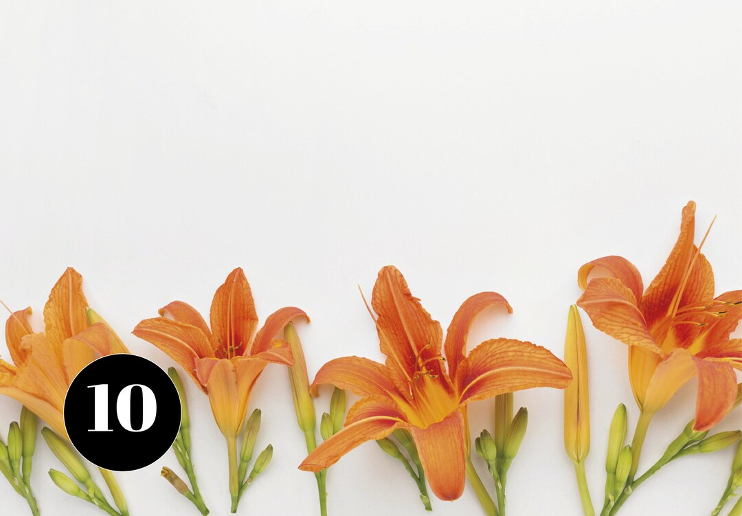 A3 Photography Photoboard Backdrop - High Resolution Background ...