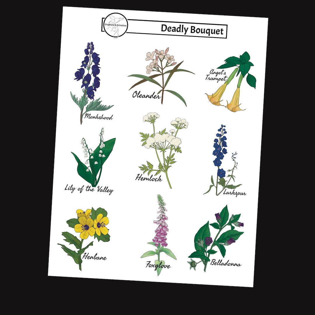 Poisonous Flower Deco Stickers - Etsy