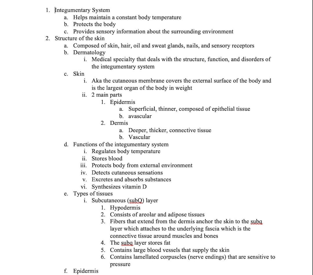 Integumentary System Notes - Etsy