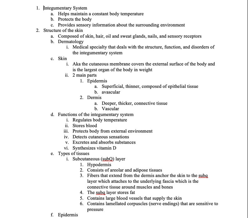 Integumentary System Notes - Etsy