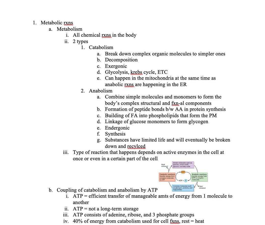 Metabolism and Nutrition Notes - Etsy