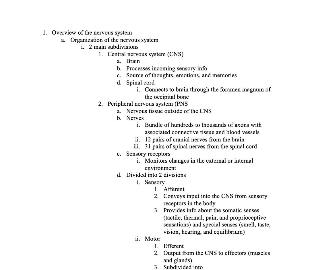 COMPLETE Nervous System Notes - Etsy