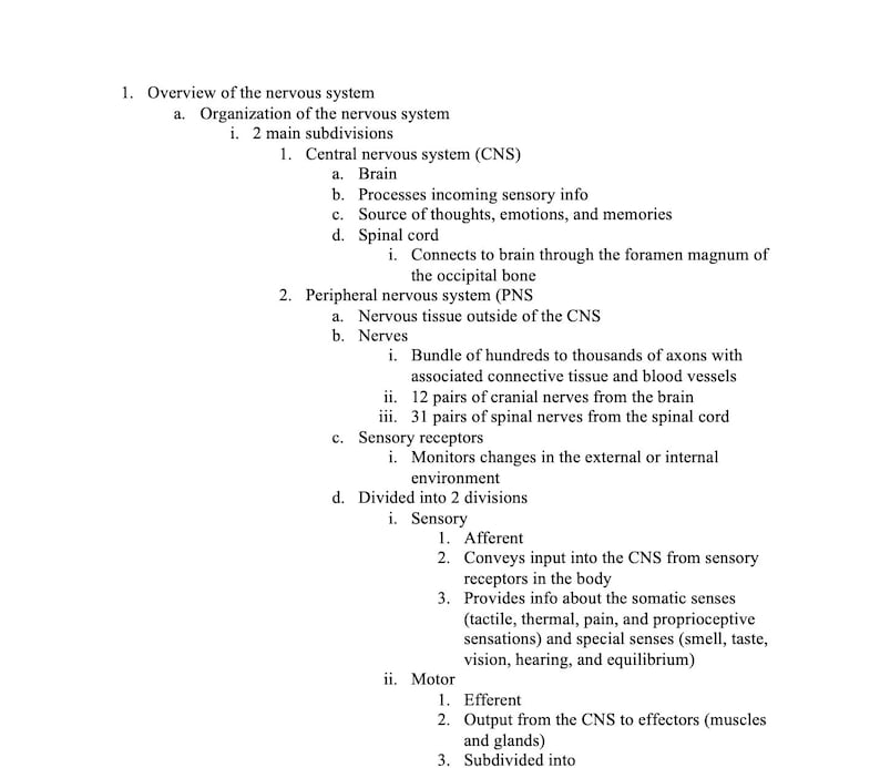 COMPLETE Nervous System Notes - Etsy