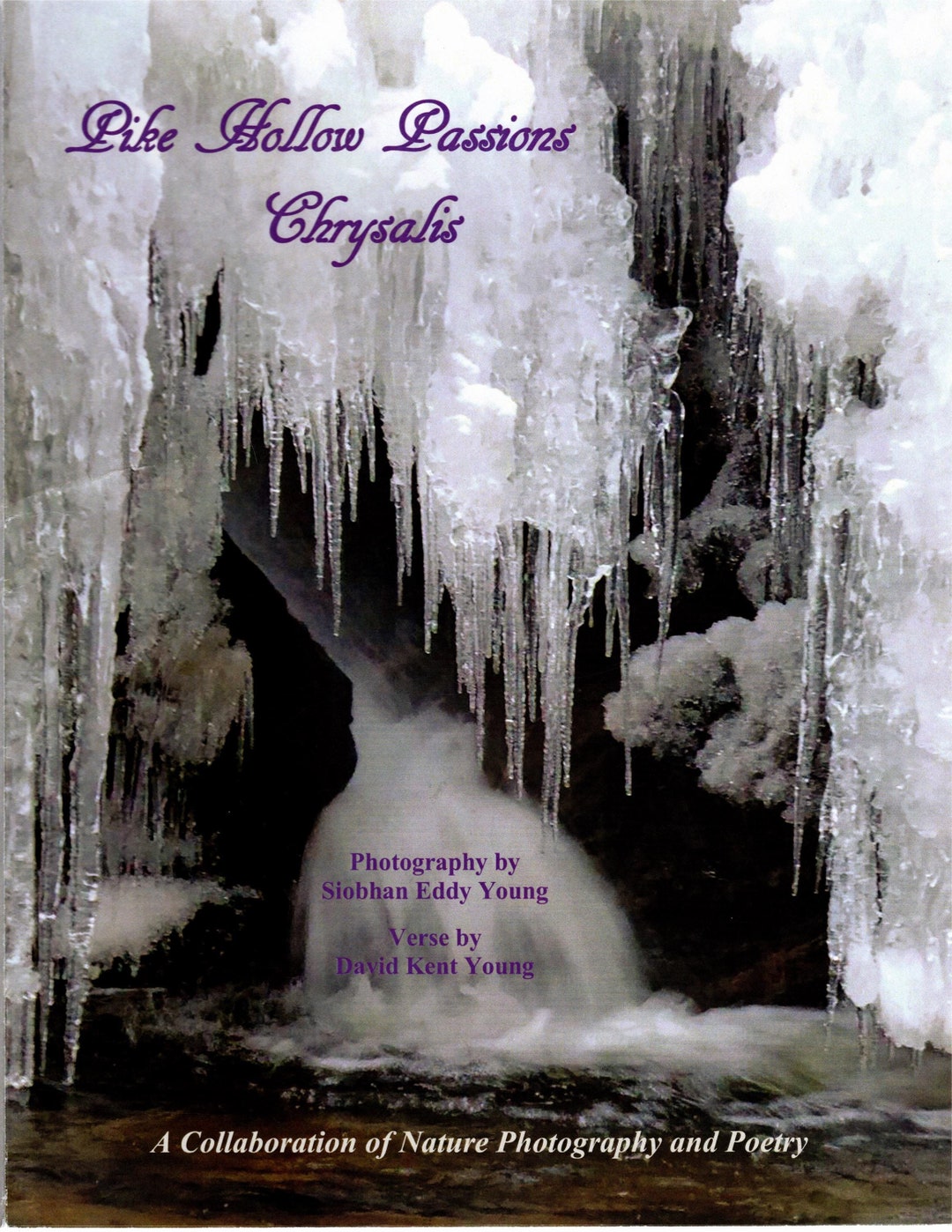 Original Poetry Paired With Photos - Etsy