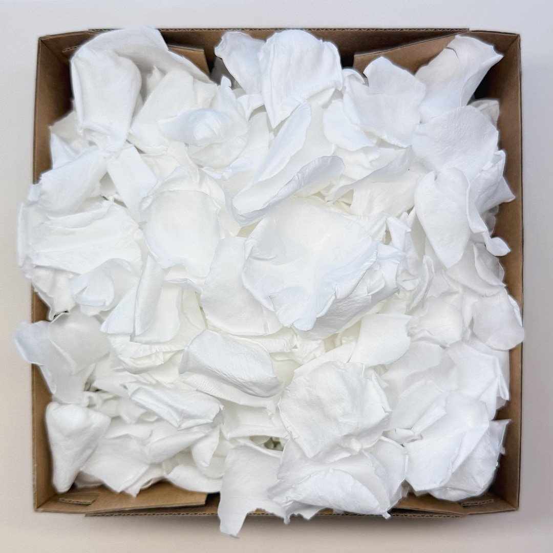 Biodegradable Wedding Confetti Snow White Real Rose | 1 Litre | Natural ...