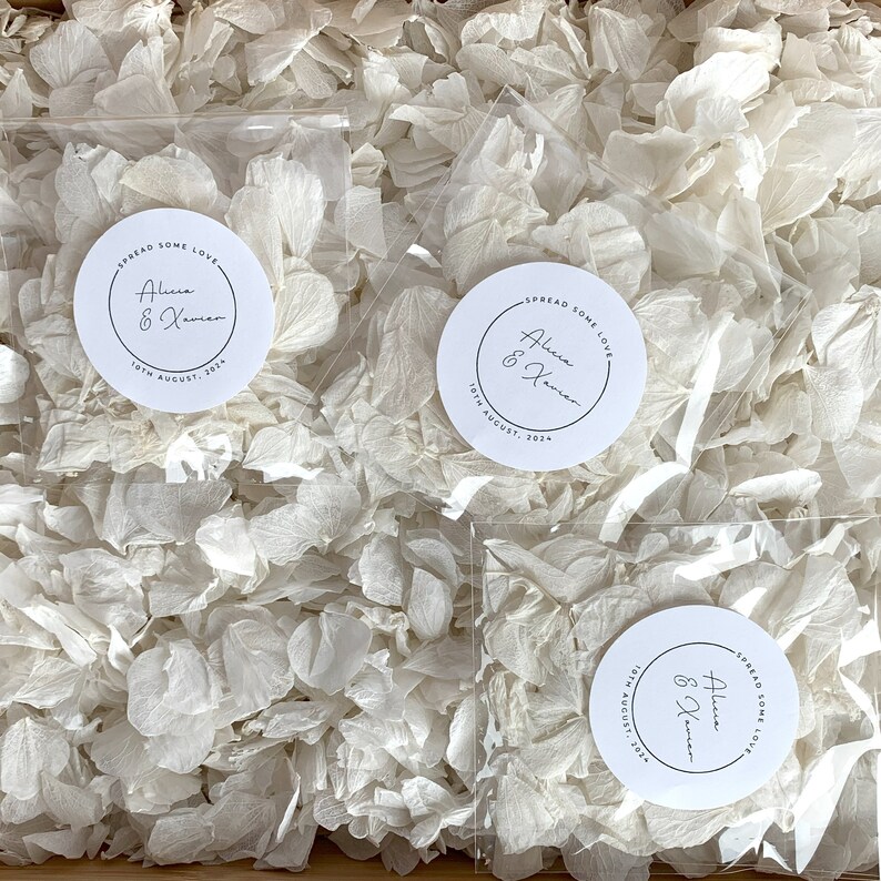 Snow White Hydrangea Biodegradable Wedding Confetti Packets Set of 10 ...