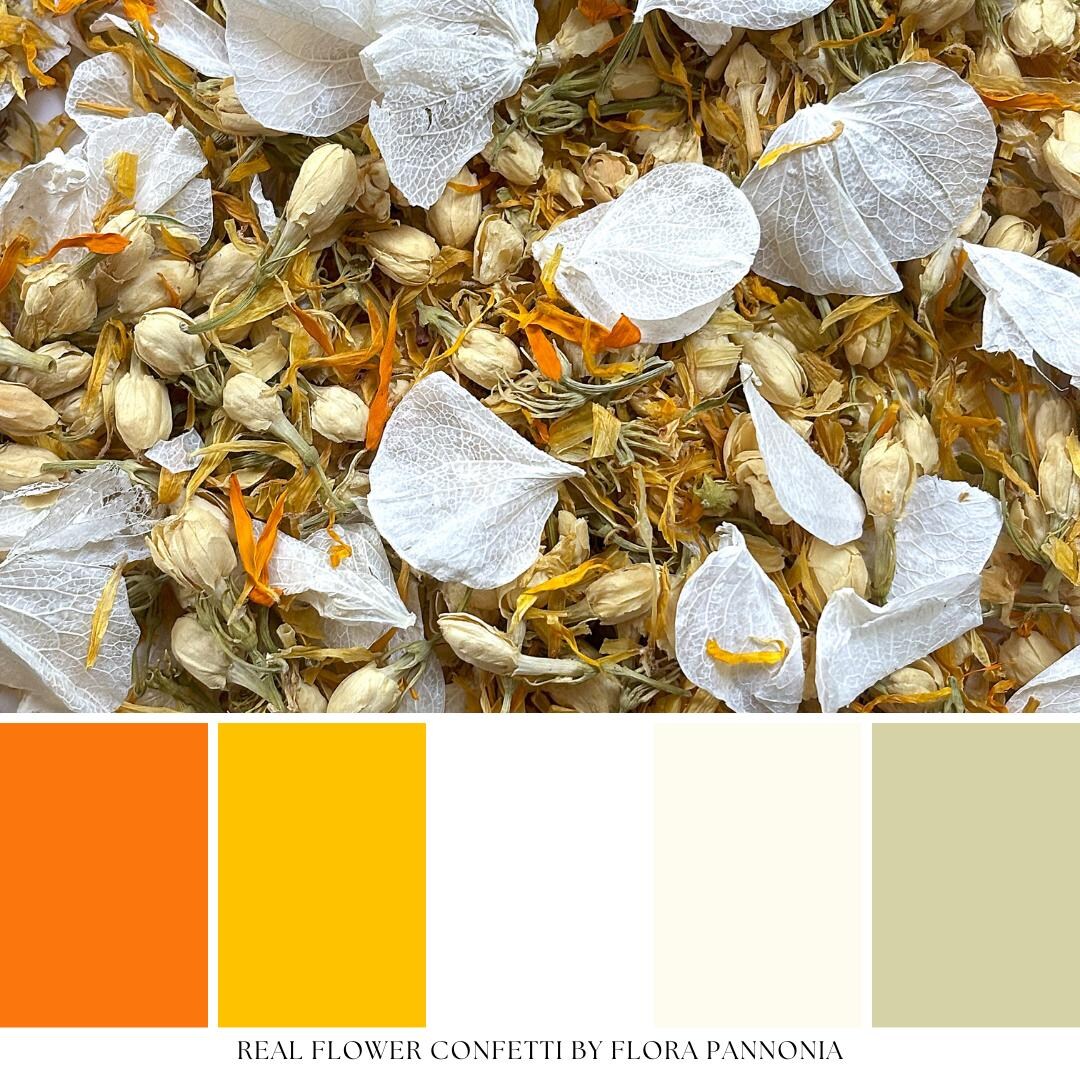 Biodegradable Wedding Confetti 10 Guests Natural Confetti Petal Toss ...