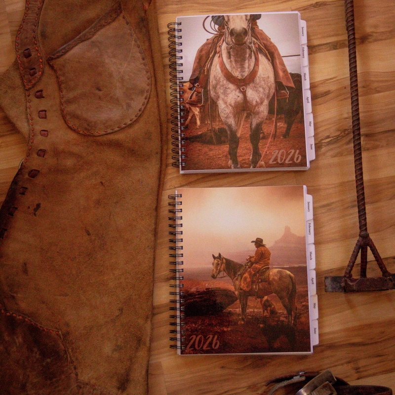 Daily Date Book 2026 - Etsy