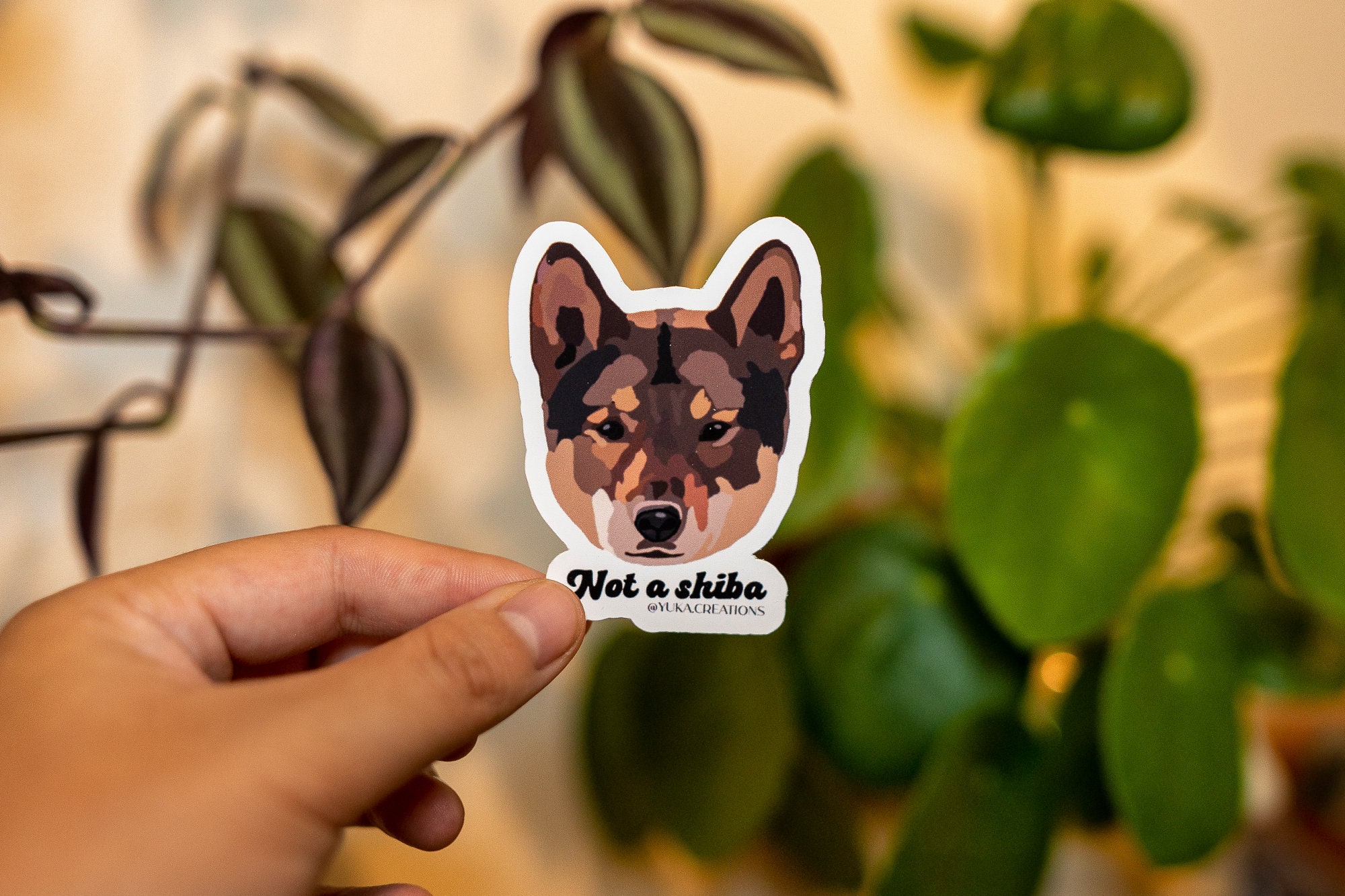 Not a Shiba Dark Shikoku Sticker - Yuka Creations - Etsy
