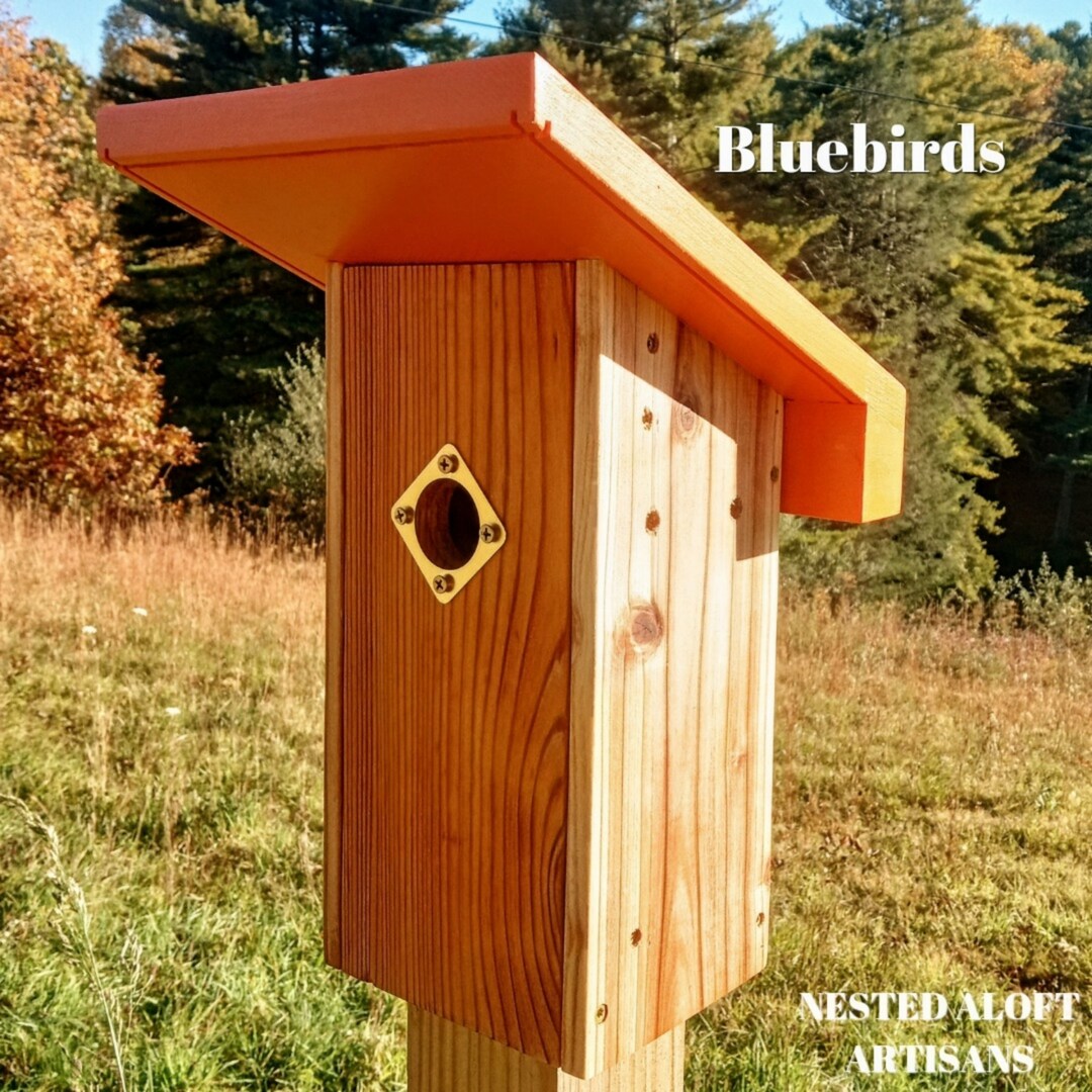 Cedar Bluebird Birdhouse Mid Century by Nestedaloftartisans, Audobon ...