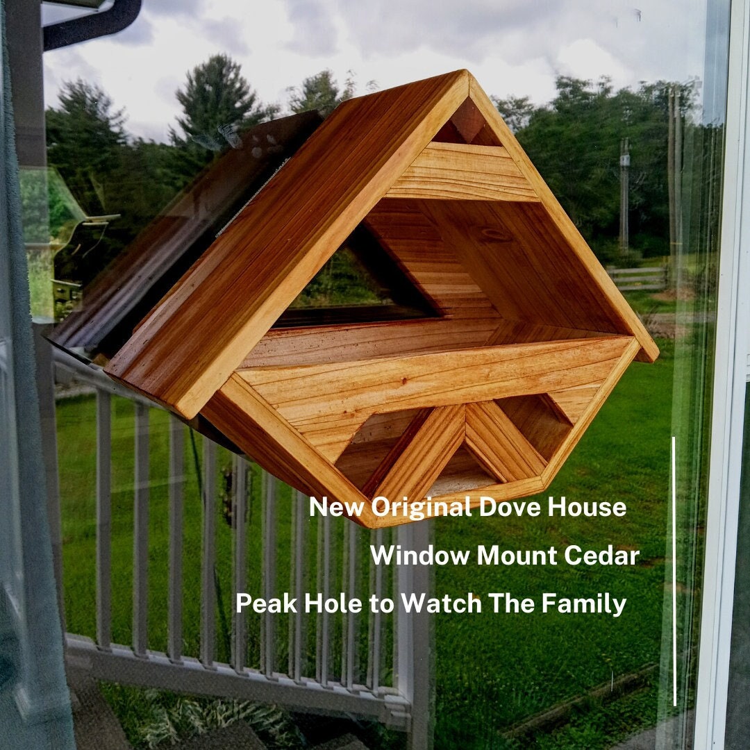 WINDOW DOVE BIRDHOUSE by Nestedaloftartisans Wren Birdhouse Modern ...