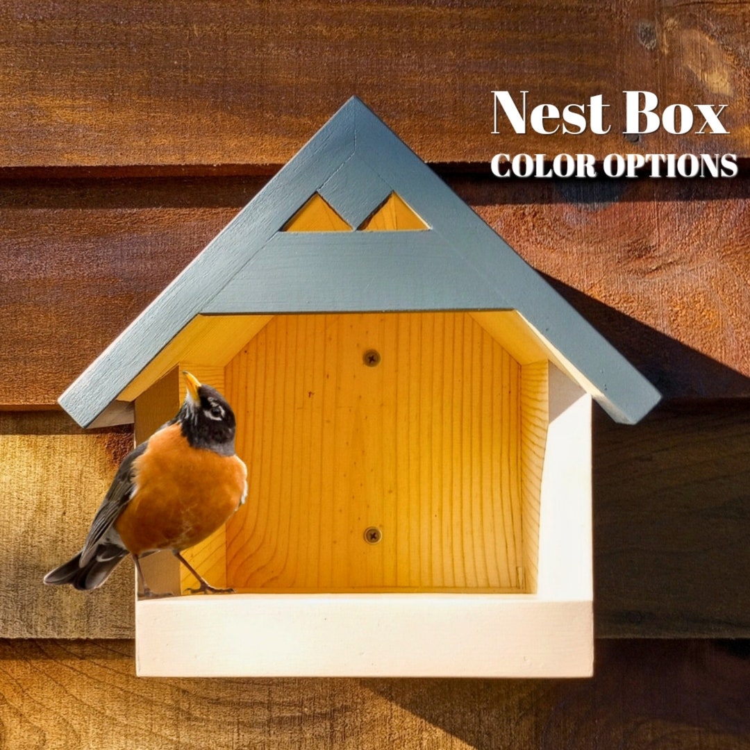 NESTING BOX PLATFORM Shelf Mourning Dove, American Robin, Phoebe, Wild ...
