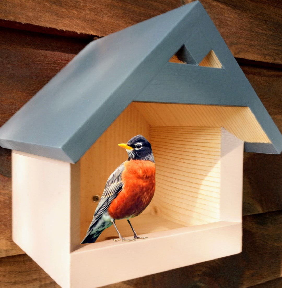 DOVE Nest Box ROBIN Shelf Wood CARDINAL Birdhouse Contemporary Nesting ...