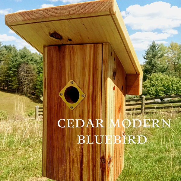 Mid Century Modern Bird House - Etsy