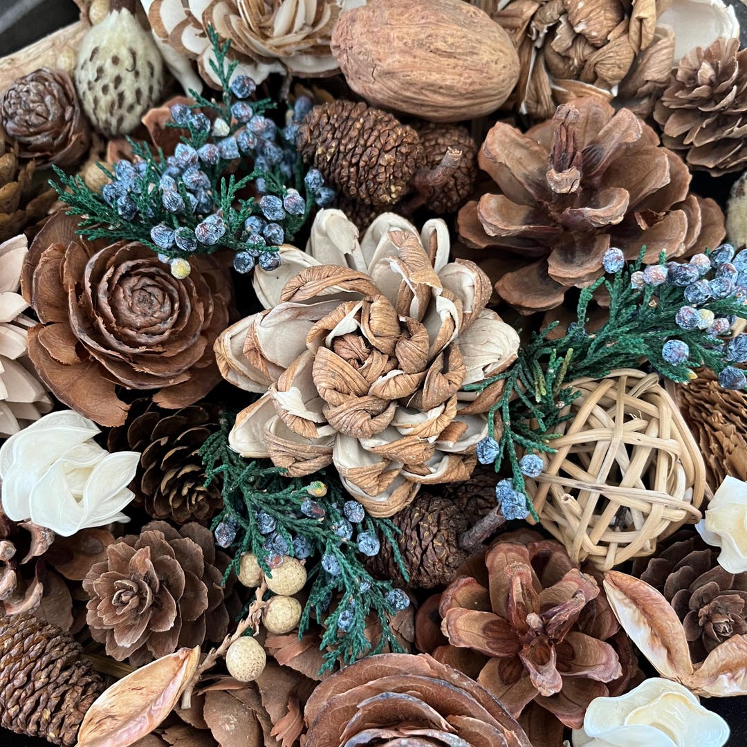 Rustic Forest Potpourri. Beautiful Collection of Pinecones, Pods, Sola ...