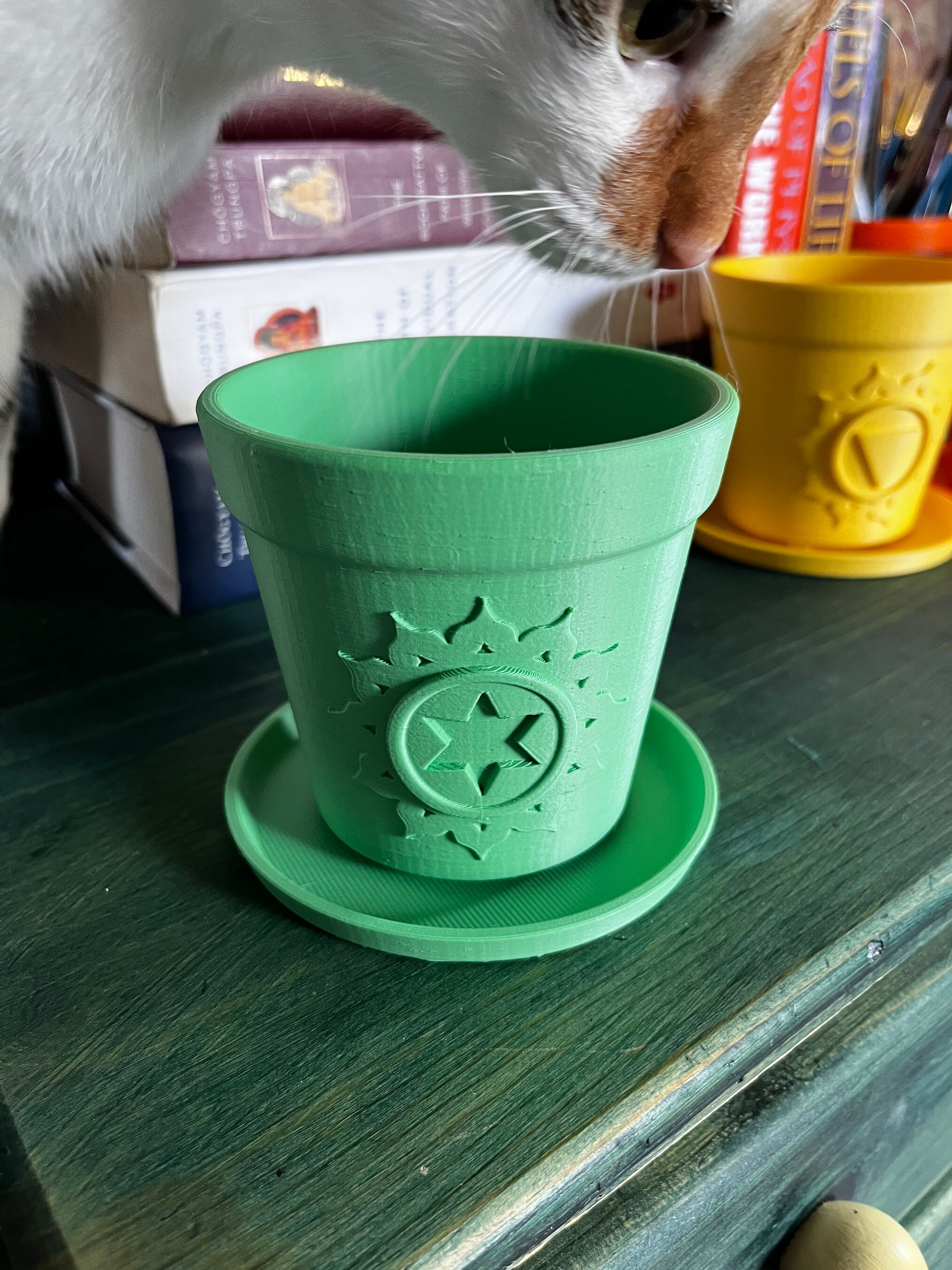 Chakra Pot Set | Embossed 3D Printed Plant Pots - Etsy