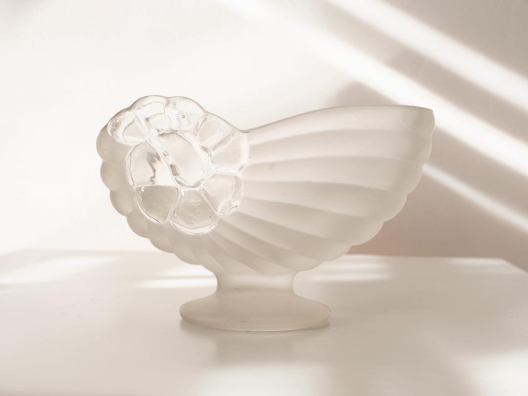 Satin Glass Nautilus Shell Vase, Vintage Art Nouveau Art Deco Style ...
