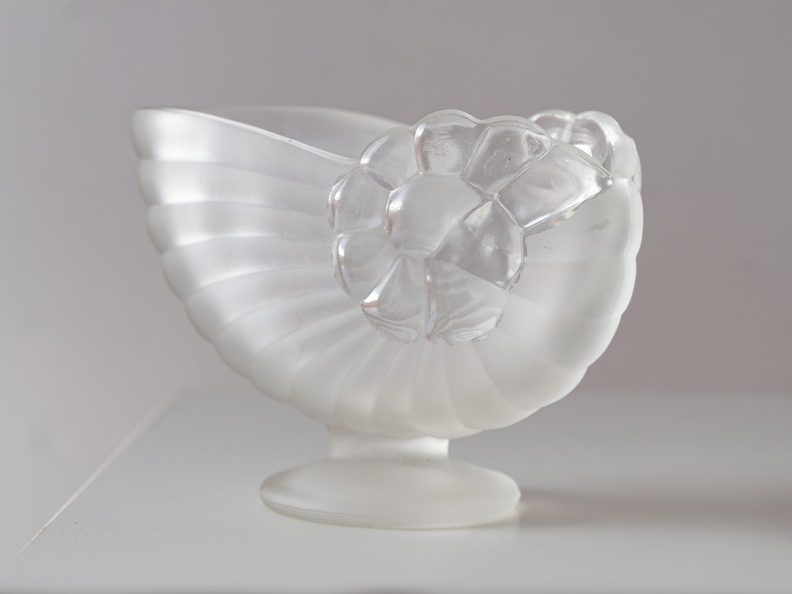 Satin Glass Nautilus Shell Vase, Vintage Art Nouveau Art Deco Style ...