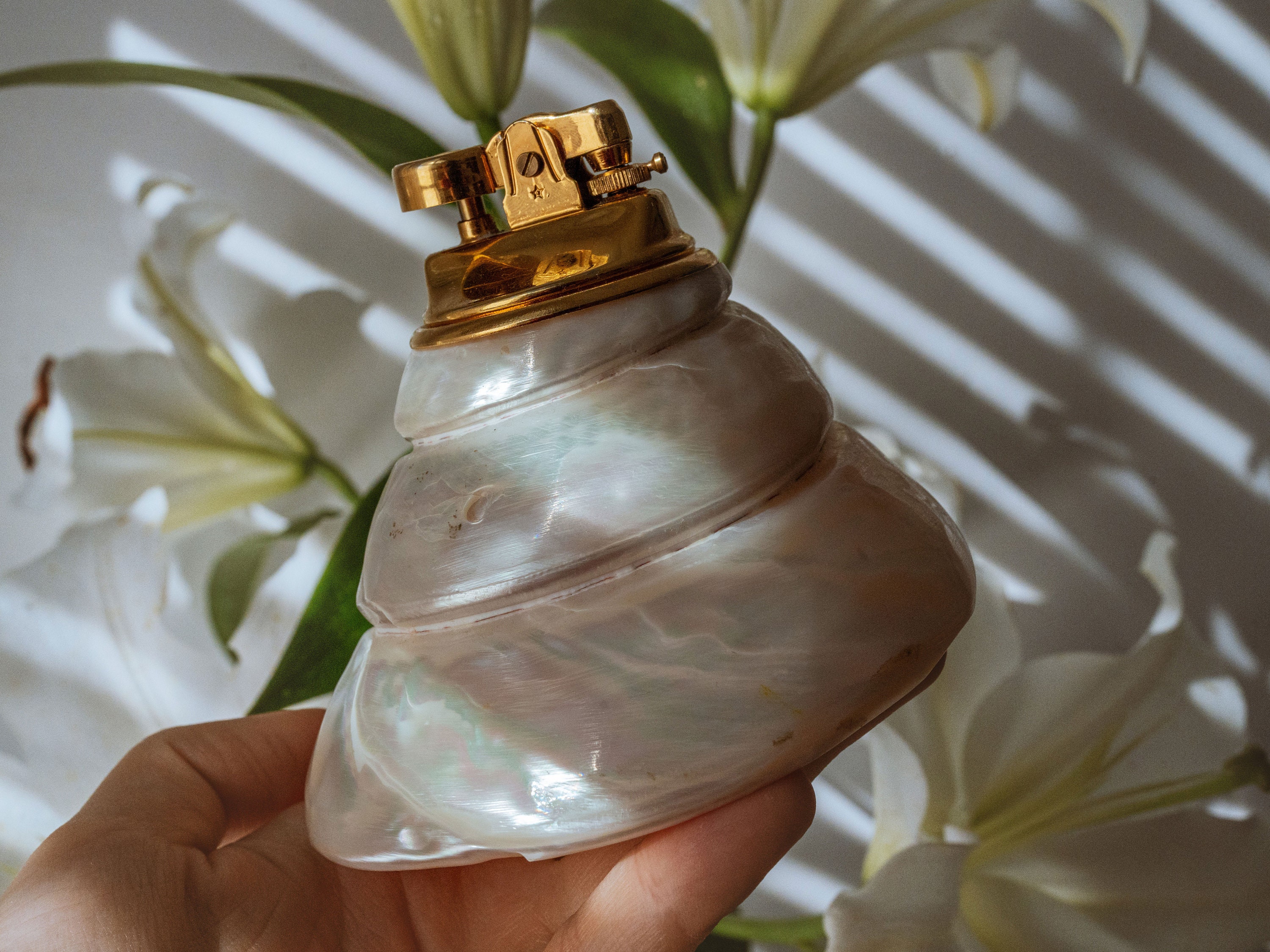 Vintage Pearlized Seashell Tabletop Lighter, Mother of Pearl Niloticus ...