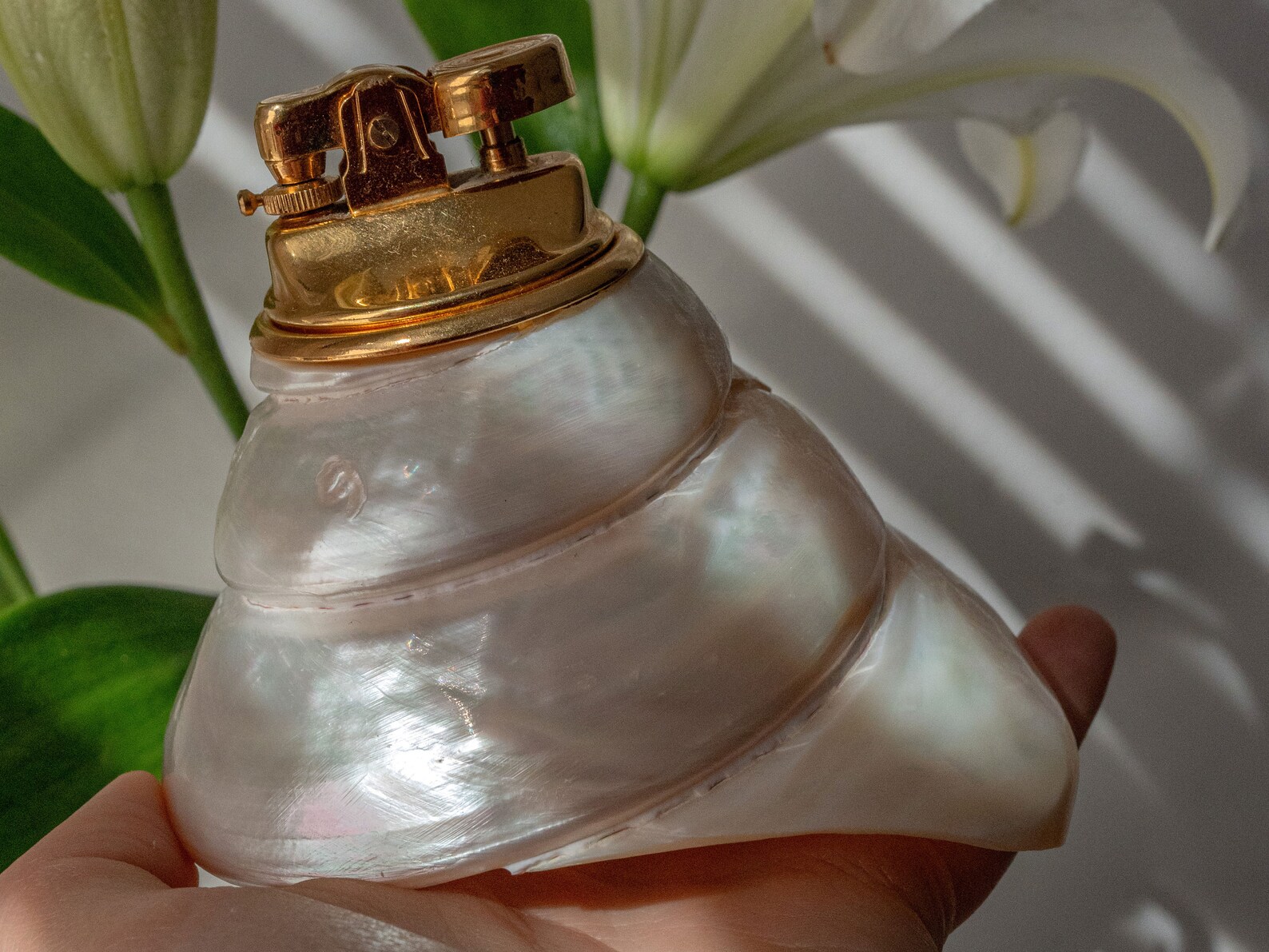 Vintage Pearlized Seashell Tabletop Lighter, Mother of Pearl Niloticus ...
